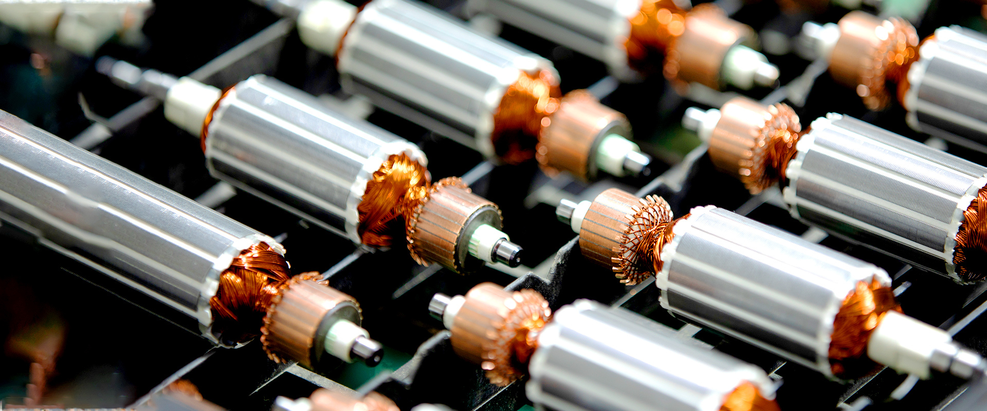 Home_CYC_Pigeon_Supra-one_ZHENGYANG TECHNOLOGY CO.,LTD.